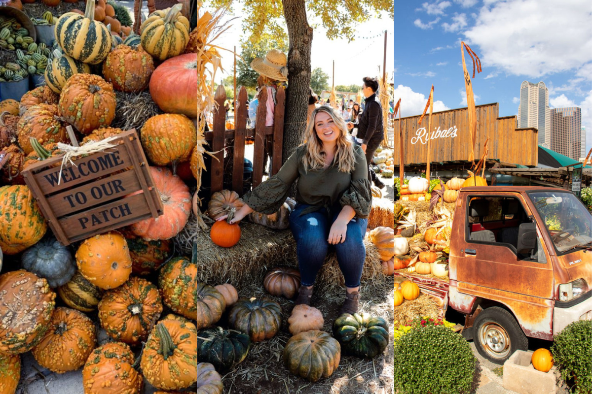14 Pumpkin Patches in DFW To Visit This Weekend